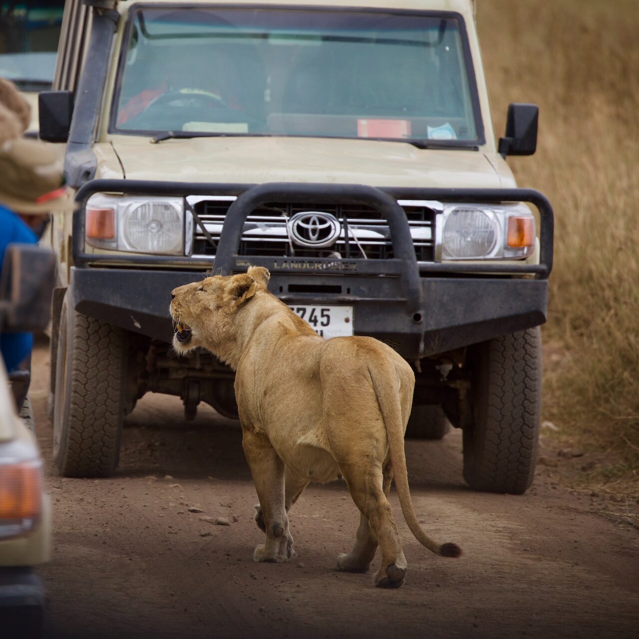 UGANDA – Leisureway Adventures